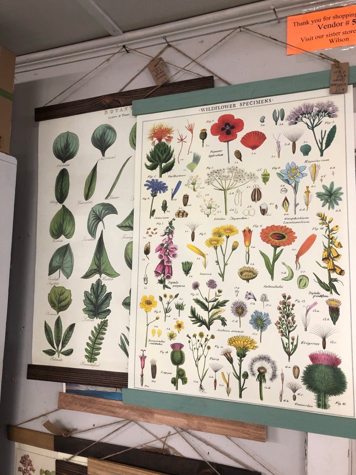 Wildflowers Poster Wall Hanging – Michigan Studio